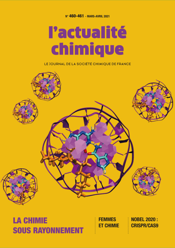 Processus physico-chimiques induits par les rayonnements ionisants dans ...